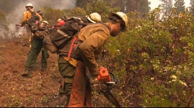 S-212 Wildland Fire Chainsaws (Faller) - Class Registration v3.0 ...